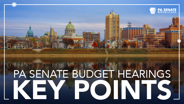 Key Points from Senate Budget Hearings with Department of Education ...