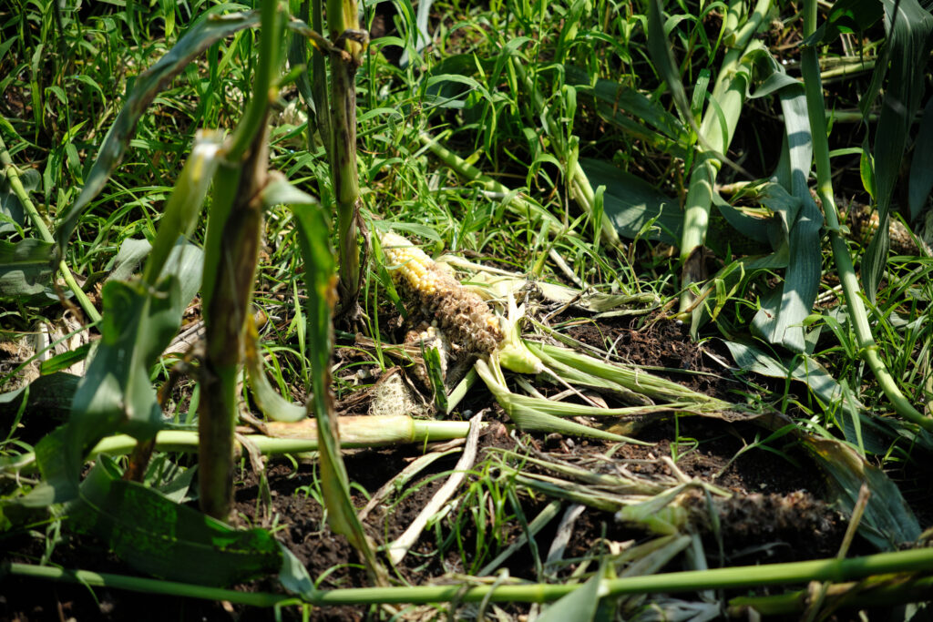 A Win for Hunters and Farmers: House, Senate Approve Rothman Bill ...